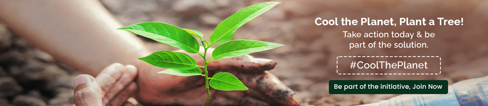 Join Us : Cool The Planet Campaign , Plant A Tree #CoolThePlanet